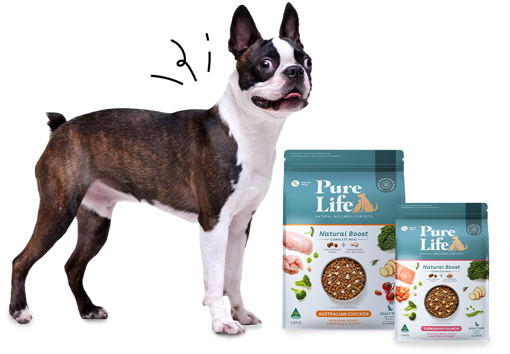 Paw Pantry - home of quality, Australian made pet food!