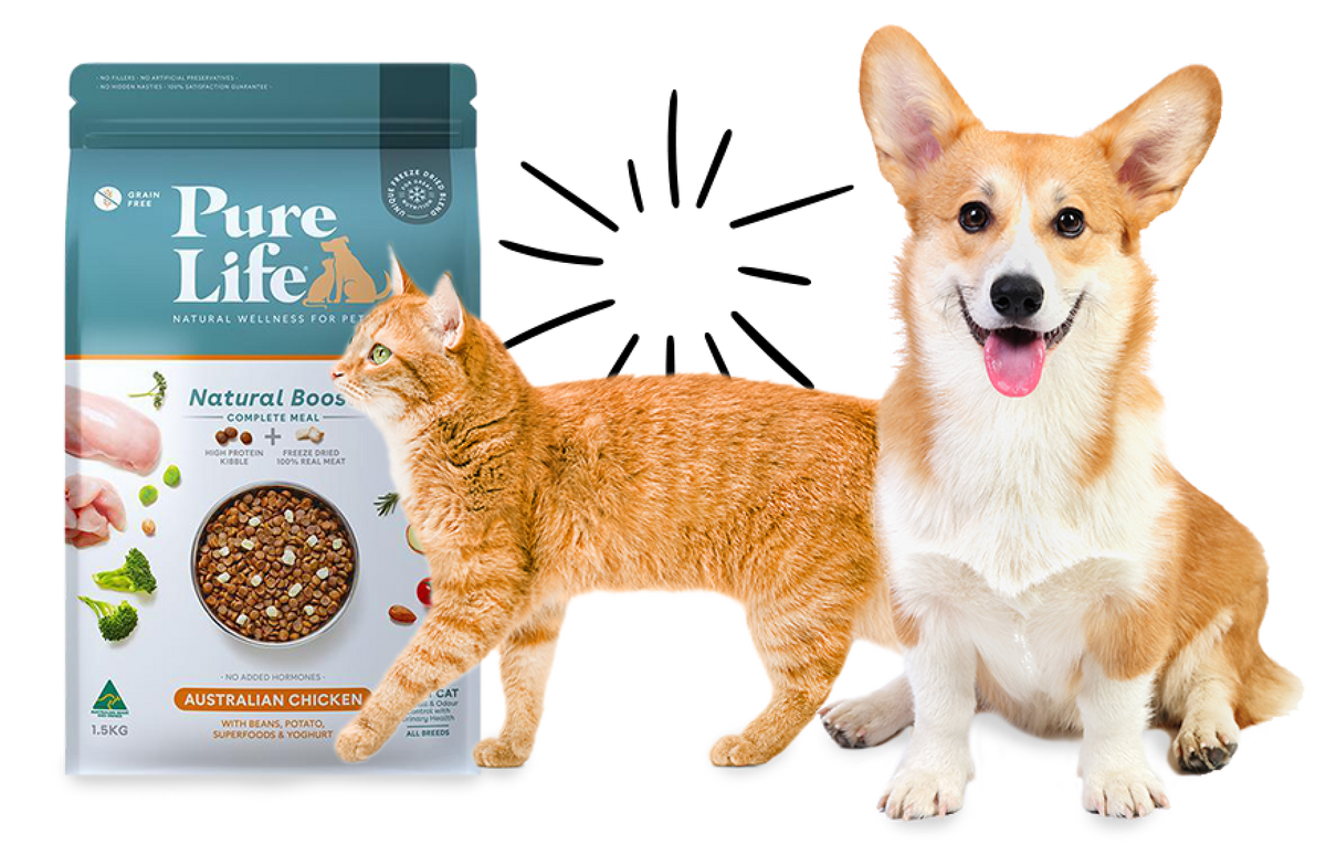 Pet Food Products - Paw Pantry