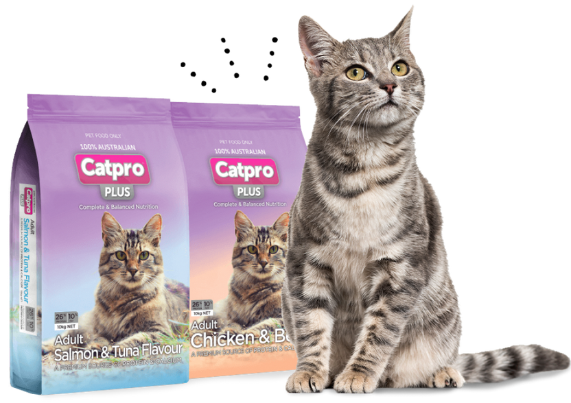 Pet Food Products - Paw Pantry